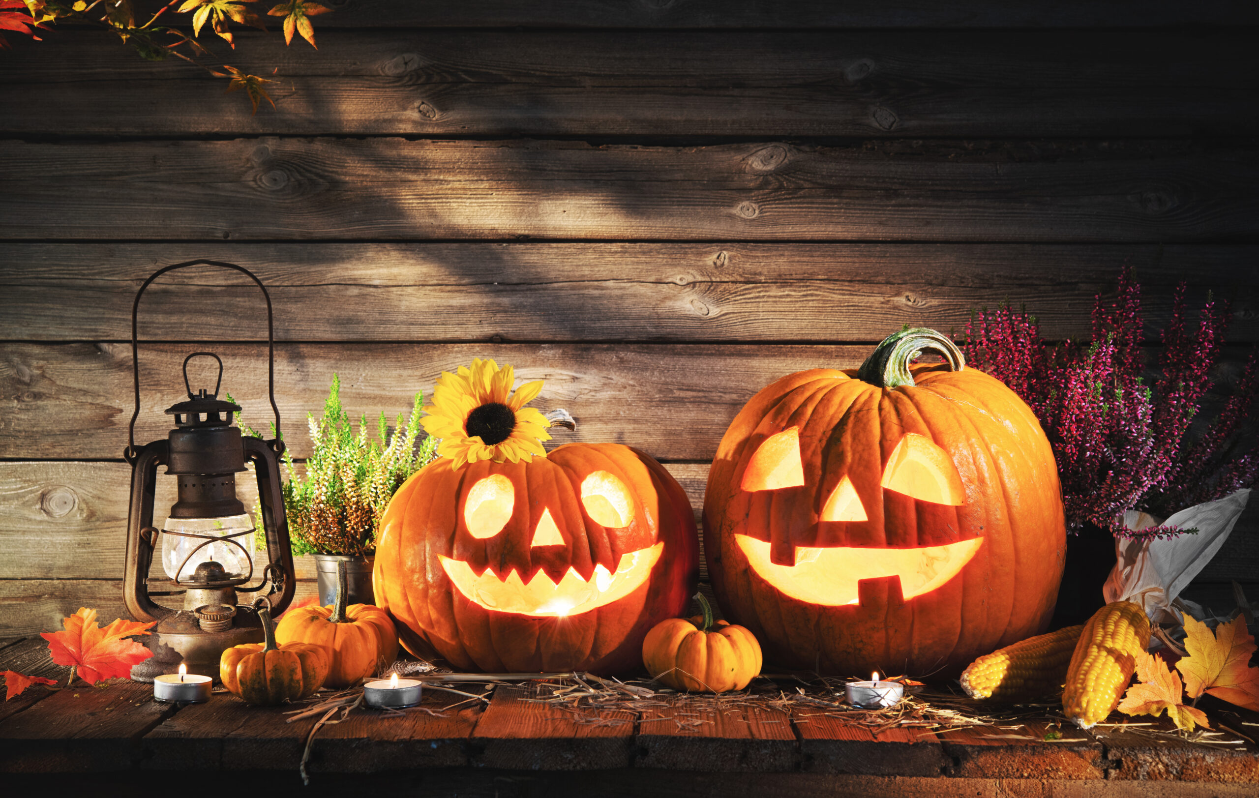 Tricks and Tips for a Safe Halloween - Grit